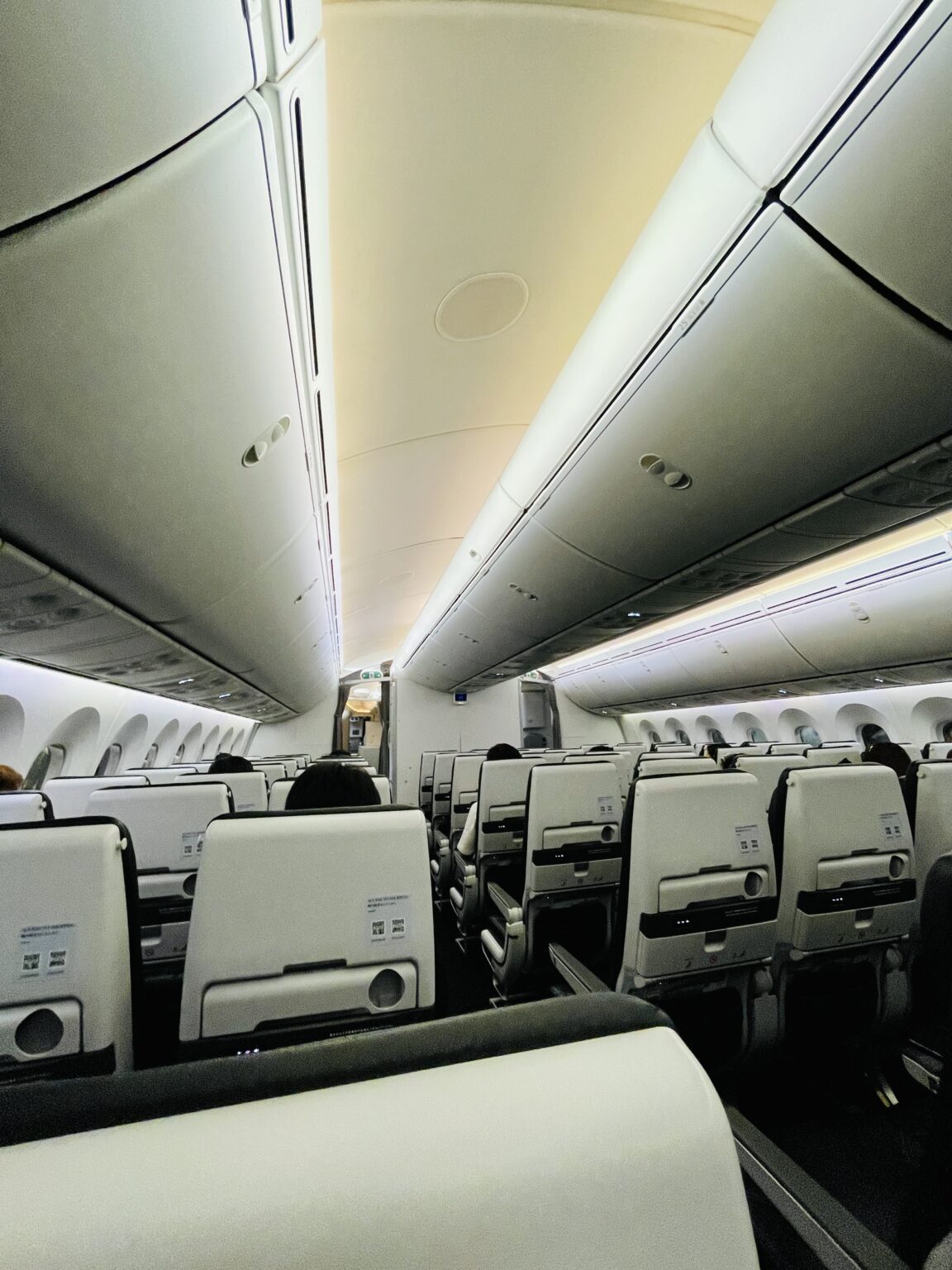 史上最高のLCC♡ZIPAIRスタンダード席の搭乗記｜アラサー女子の口コミ【シンガポール→成田 深夜便】 | OL TRIP